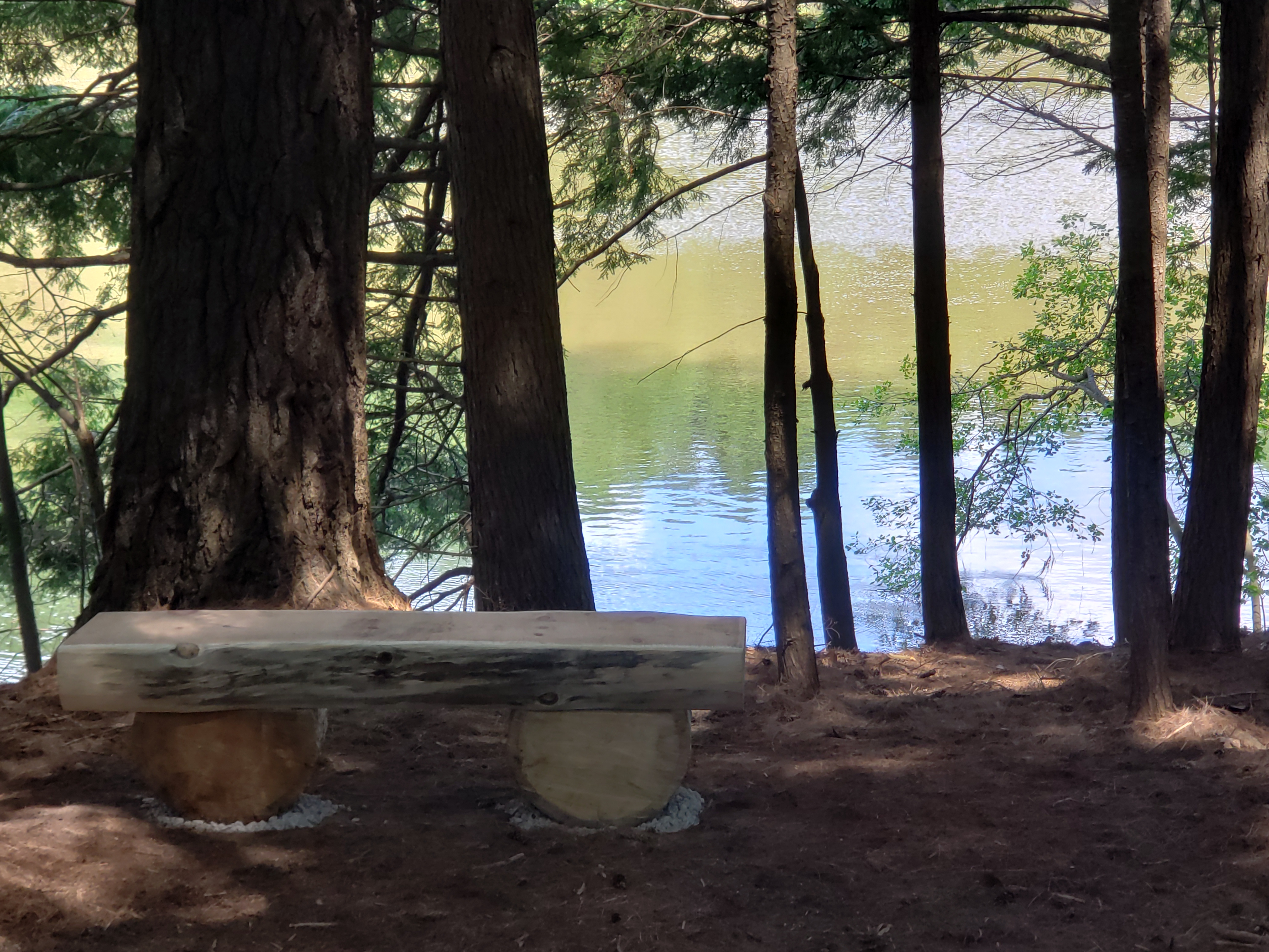 New Riverside Bench | The Pine Park Association